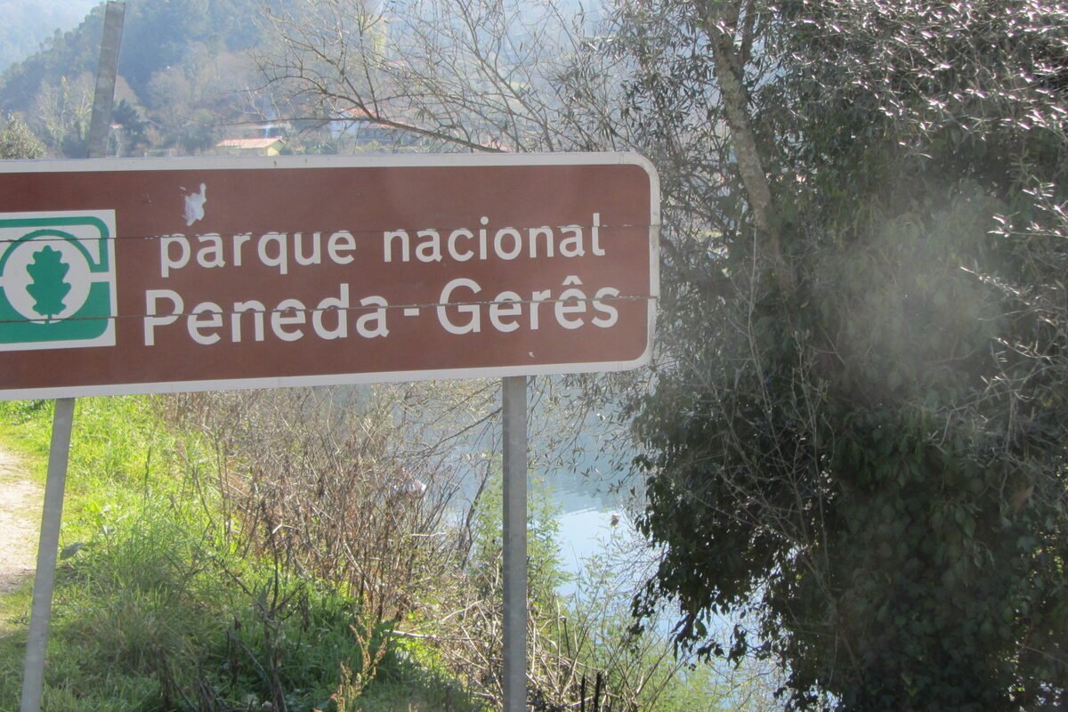 Portugal Traditional Clothing, 5 Real Regional Costumes | Visitus